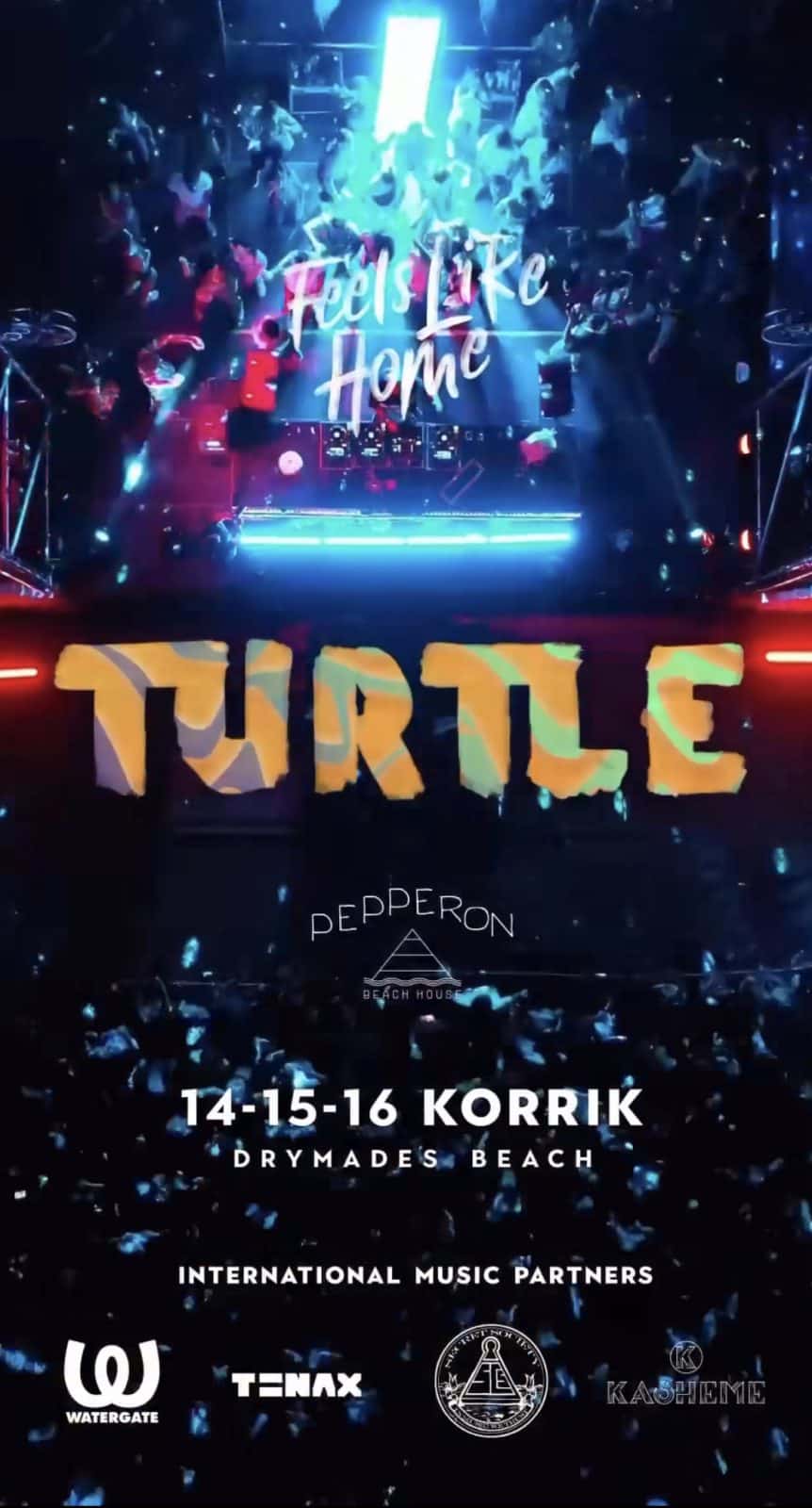 "Turtle Fest 2023" - Almanart